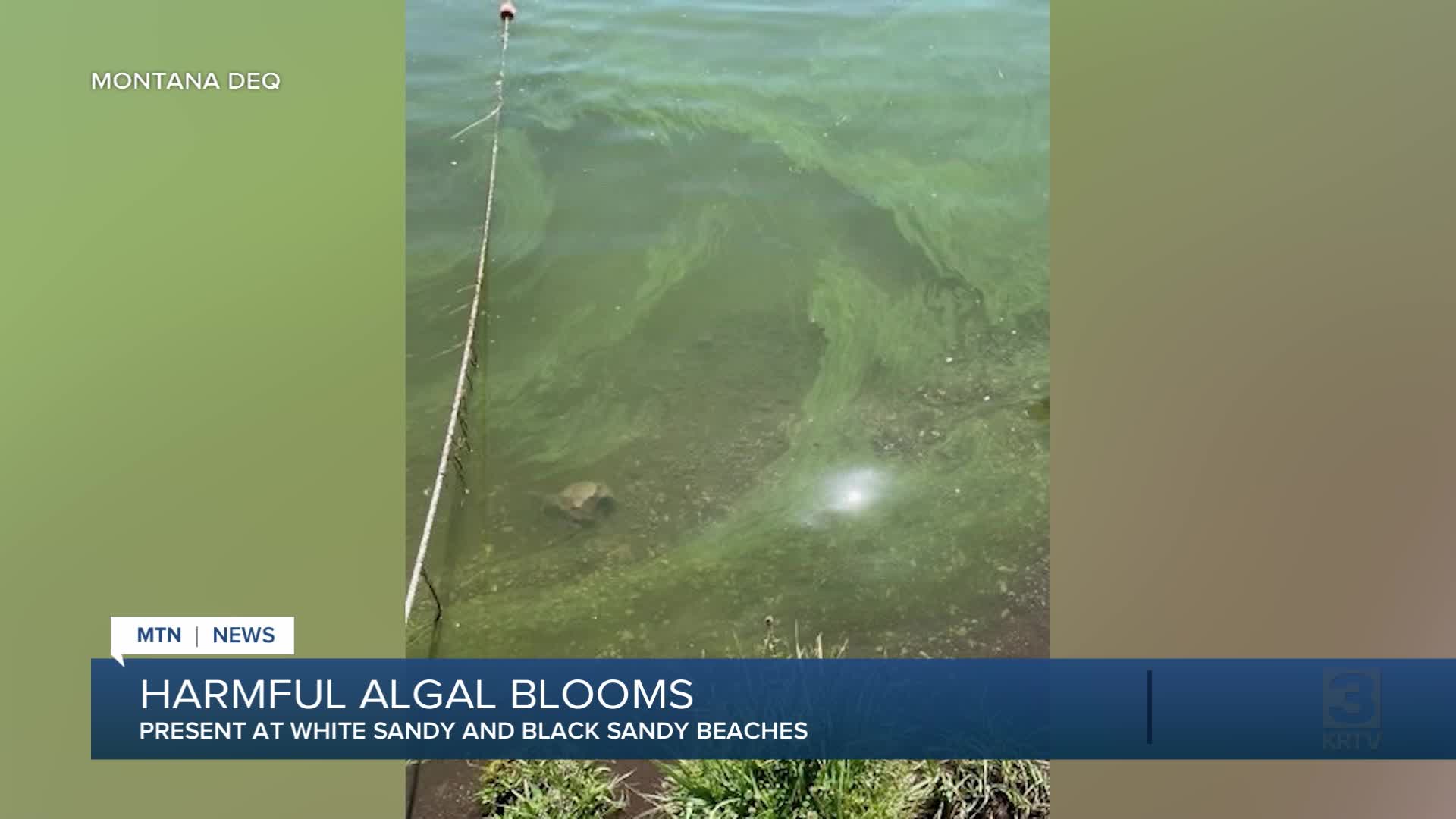 'Harmful Algal Blooms' reported