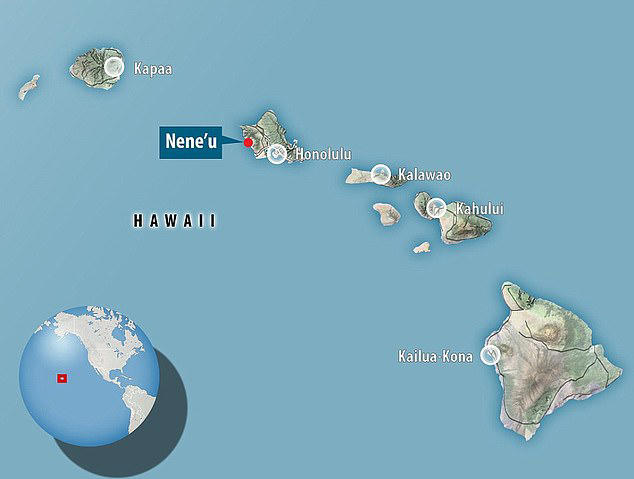 Ancient warning mysteriously appears on Hawaiian beach mere days before ...