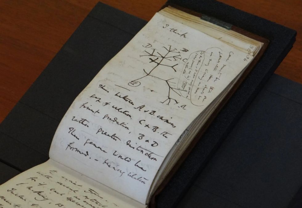 40 Personal Belongings Of Legendary Historical Figures That Still Exist ...