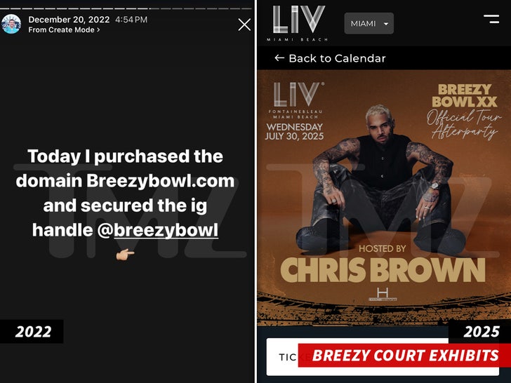 Chris Brown & Live Nation Sued by Breezy Swim Over 'Breezy Bowl XX ...