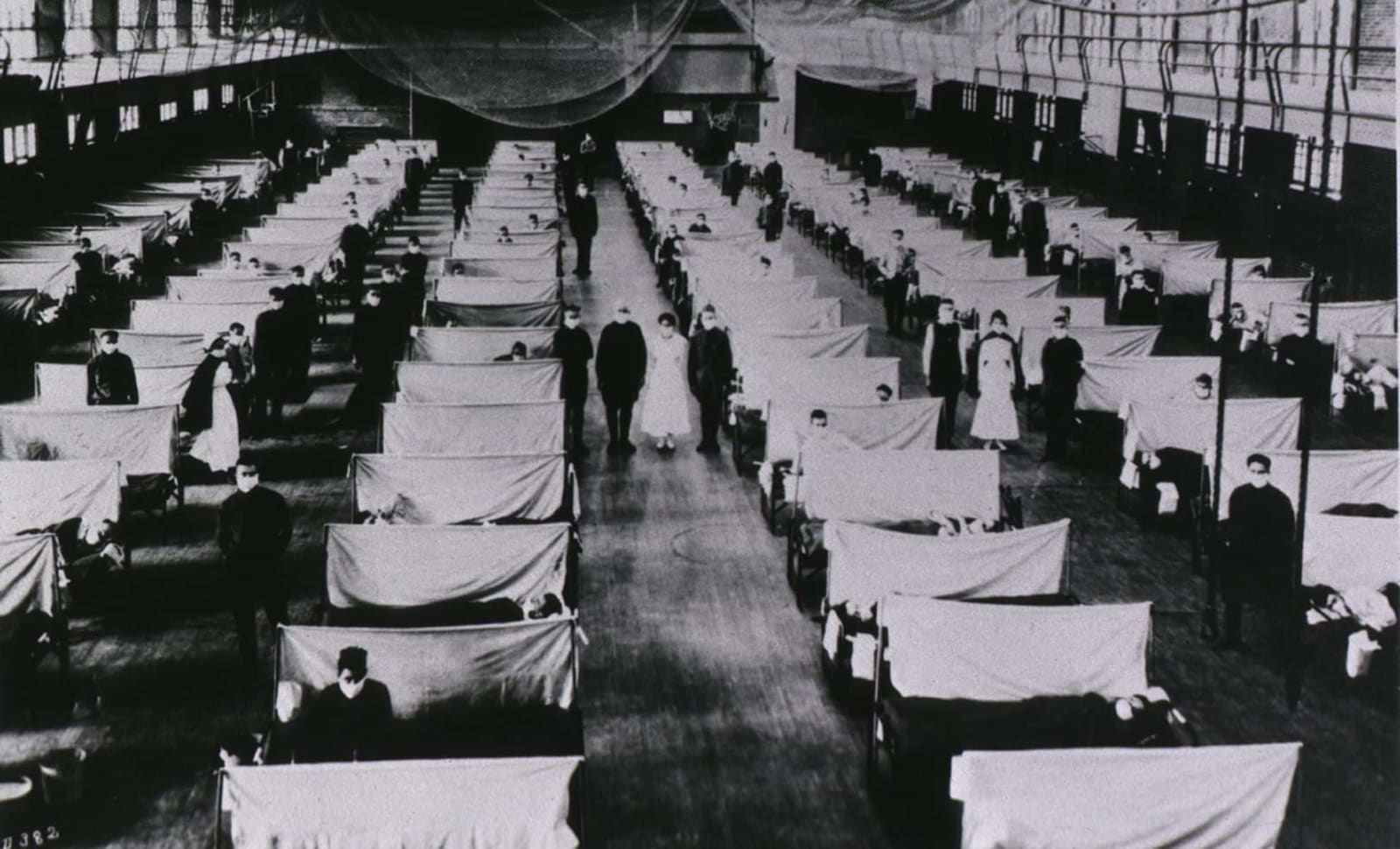 Century-Old Mystery Solved: What Scientists Just Learned from the 1918 ...