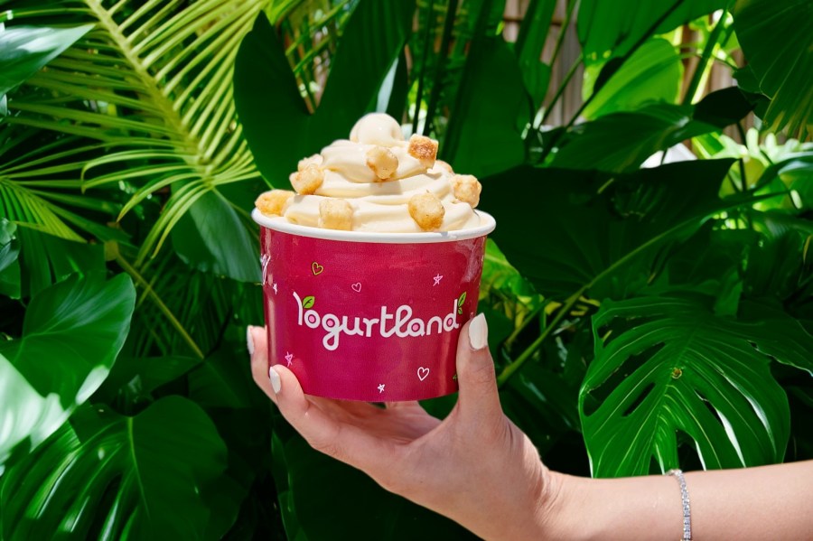 Yogurtland launches limited-edition flavor in honor of ‘The Golden Girls’