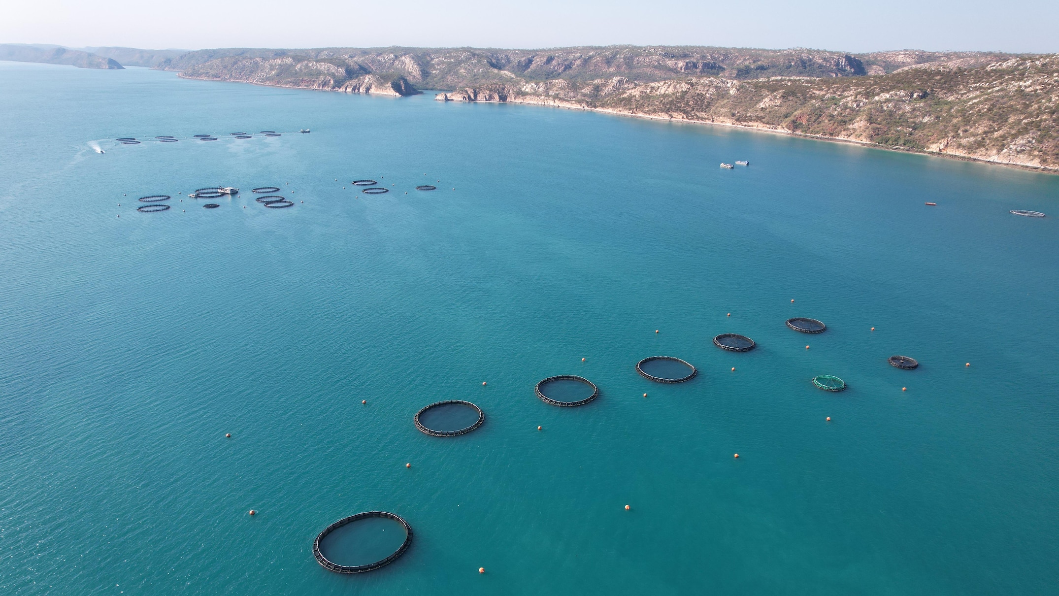 Concerns growing over Tassal's Cone Bay barramundi farm expansion plans