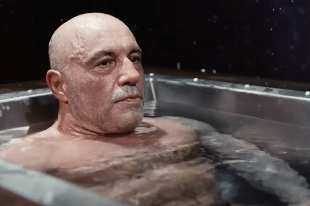 ‘The Daily Show' Trolls Joe Rogan in New Biography Segment: He's ‘Like ...