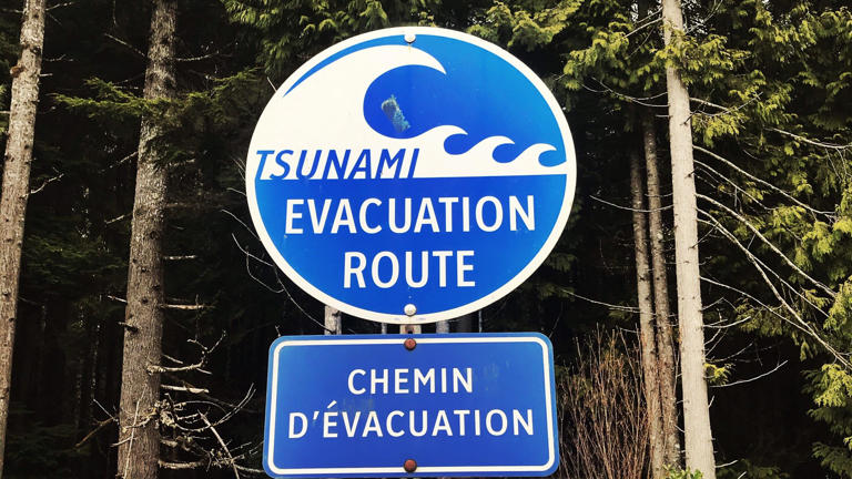 Une étude prévoit des centaines de morts en cas de tsunami majeur à Tofino