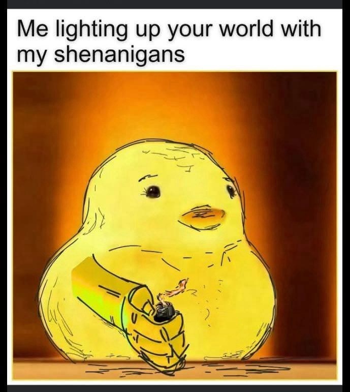30 Memes That Have a Rich Inner Life