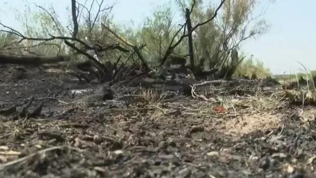 Cold case spotlight: Money Joe Belcher’s murder still unsolved after ...