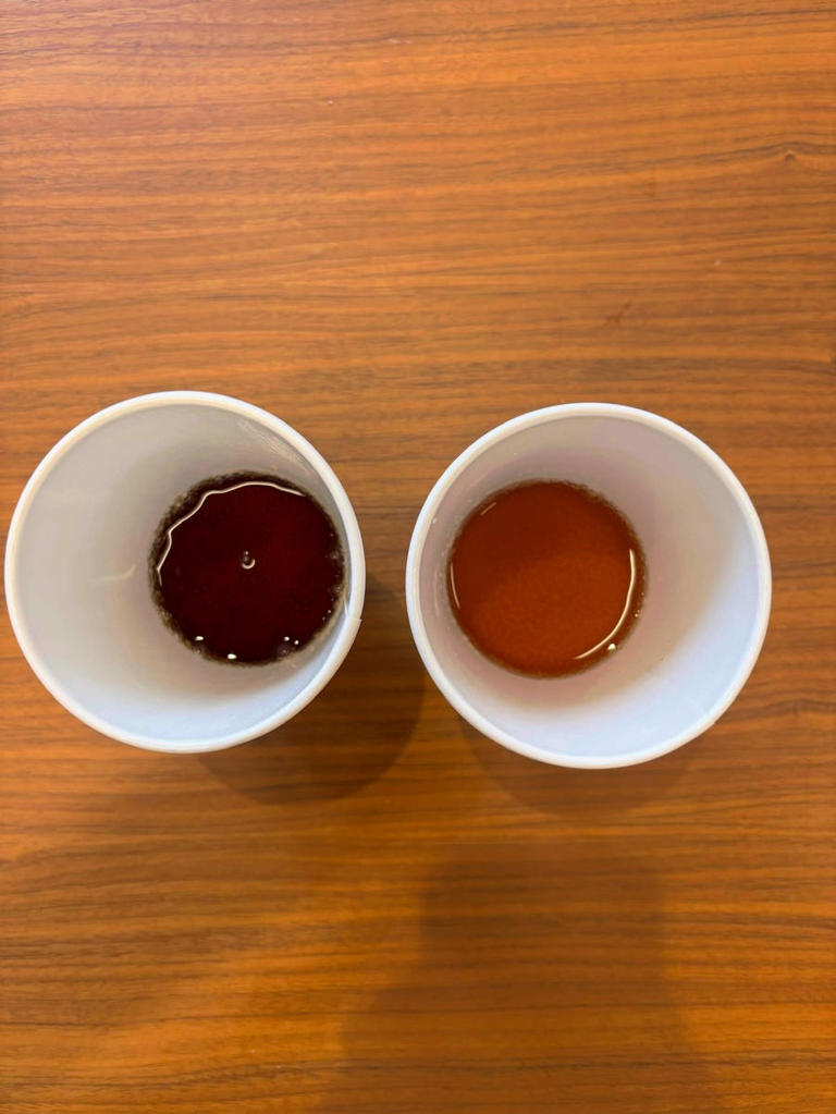 We Compared Pepsi's New Prebiotic Cola To Poppi & The Results Were Shocking