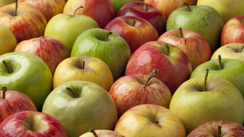 The Best Heirloom Apple Trees To Grow
