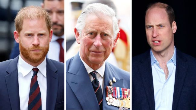 Prince William & Harry's Inheritance Details Revealed After Reports ...