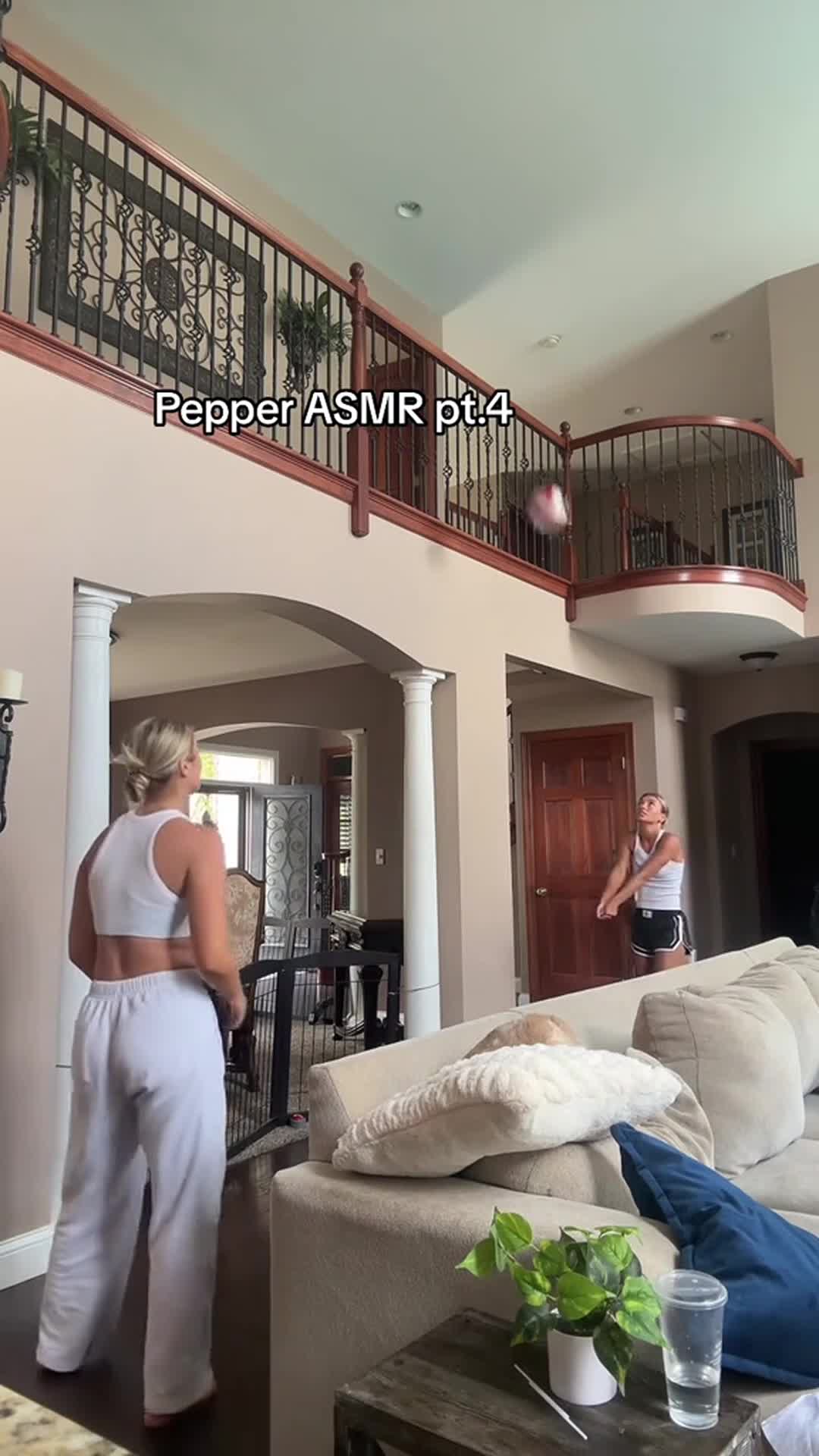 Indoor Volleyball Fun with ASMR Sounds