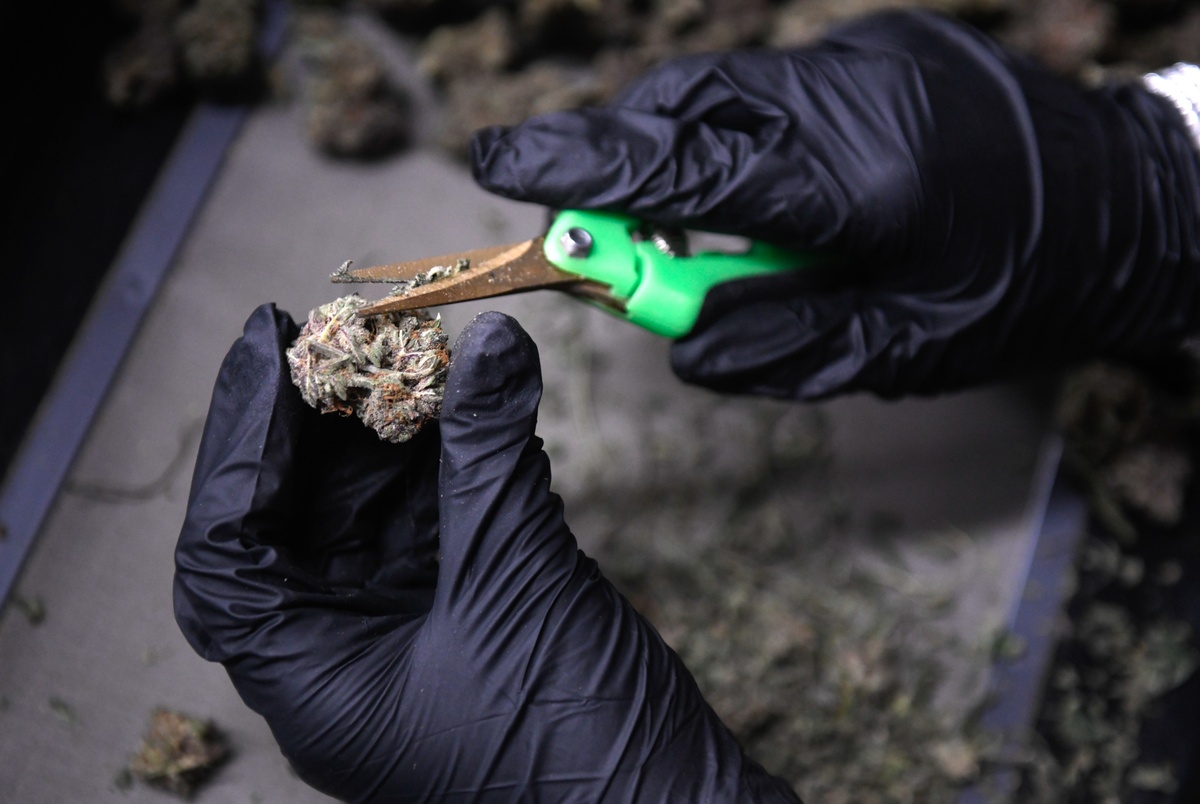 Texas Senate passes bill to ban THC — again