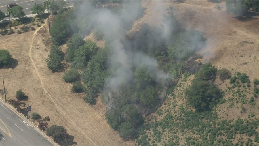 Brush fire near Dodger Stadium quickly contained by LAFD
