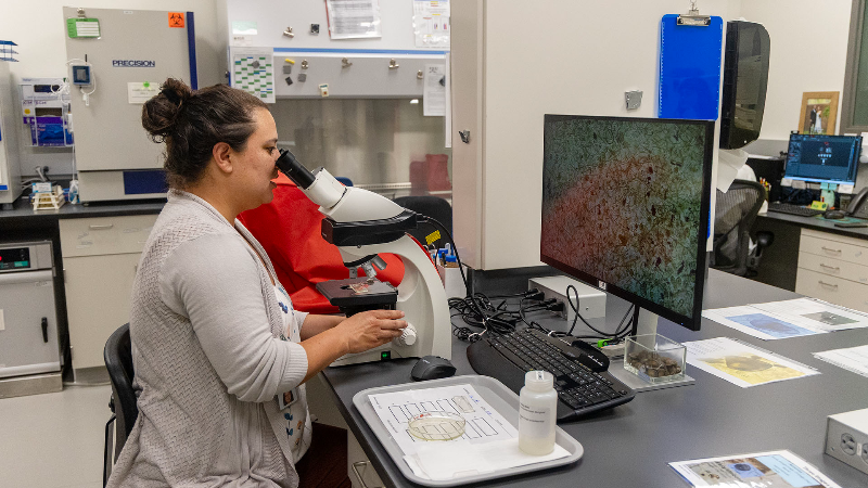 What does Idaho's animal health laboratory do?