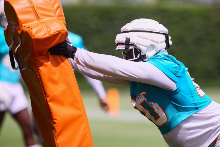 Five Dolphins players facing a crucial window as 2025 training camp ...