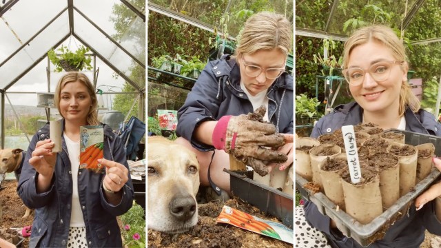Gardener shares brilliant hack using old toilet paper rolls: 'Has ...