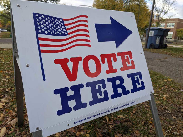 Talking points and where things stand after Tuesday elections in Minnesota