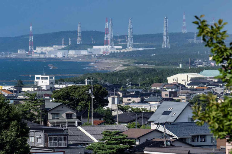 What Japan Can Teach Us About Energy Security