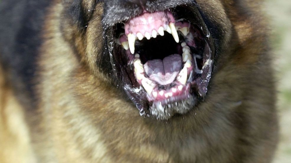 Alabama health officials urge caution after fatal dog attacks