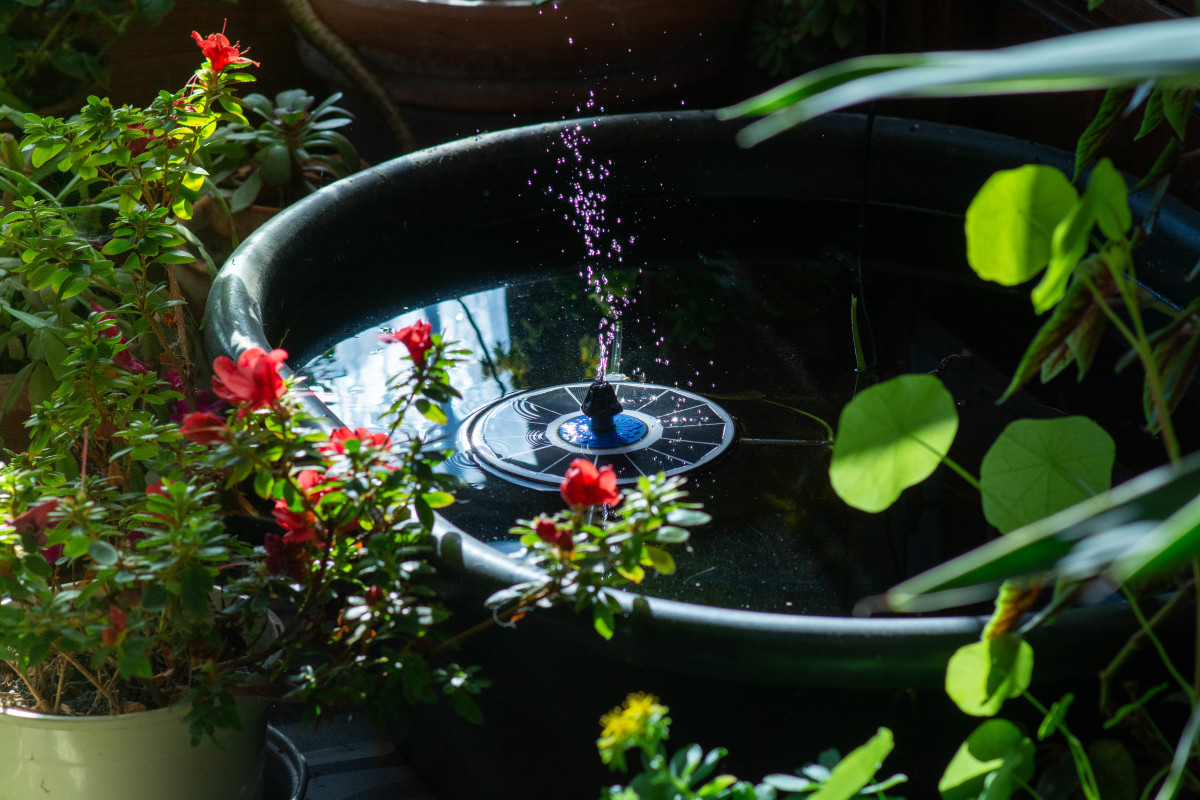 How to Make Your Own Backyard Pond Using a Solar Fountain