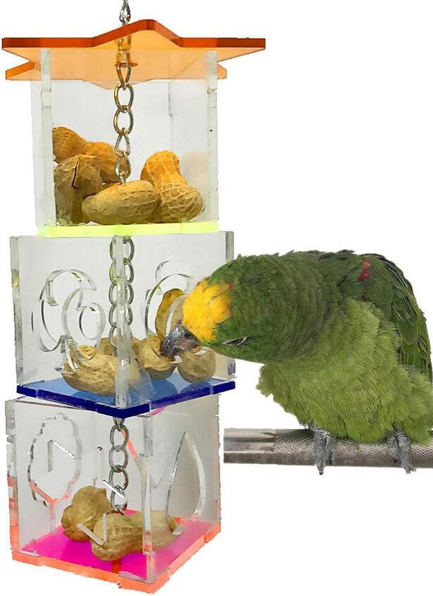 How Do I Keep My Bird Entertained?