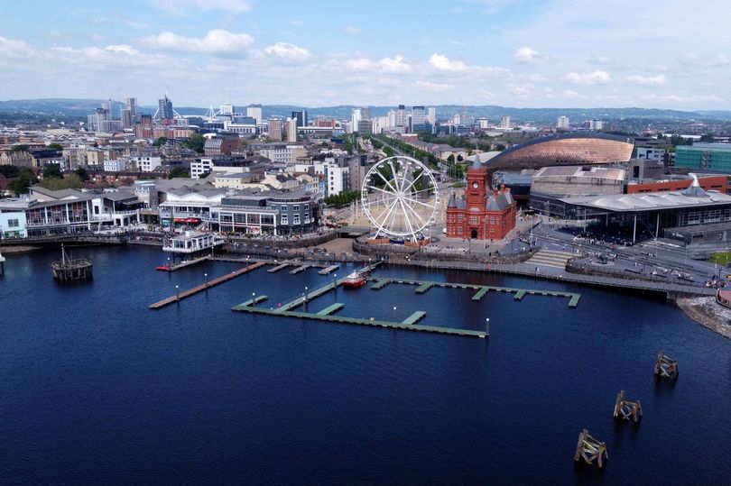 Violent thug assaulted partner and man before racially abusing police officer