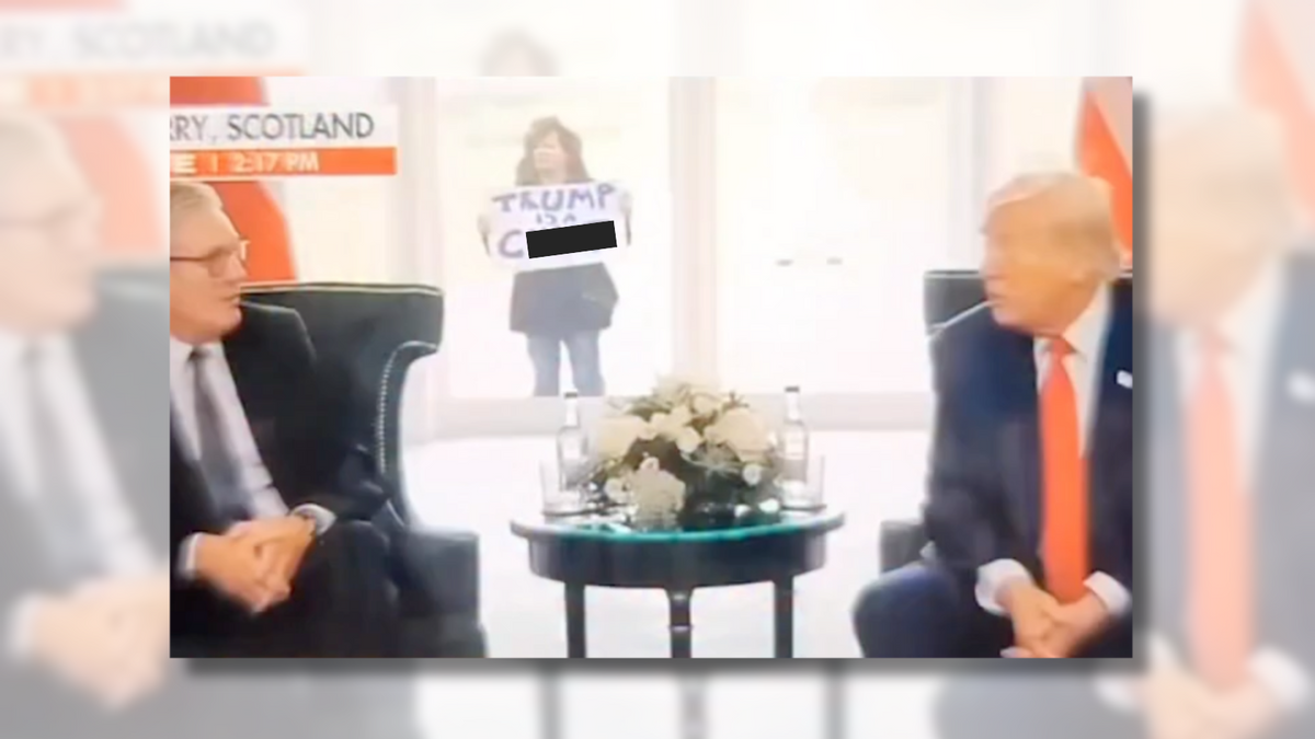 Watch out for video claiming to show protester holding rude sign about ...