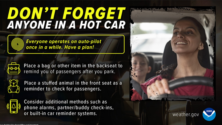 Mississippi officials provide heat vehicle safety tips