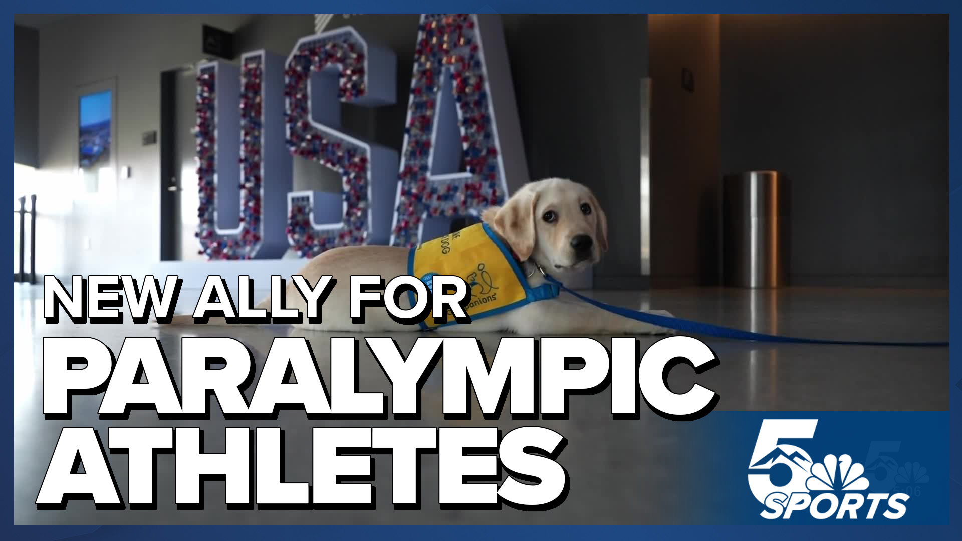 Paralympic athletes have a new ally at the U.S. Olympic and Paralympic ...