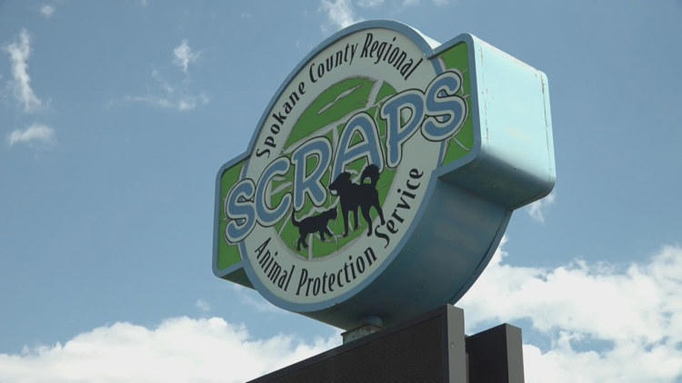 SCRAPS halts dog adoptions amid increasing cases of parvo, four of ...
