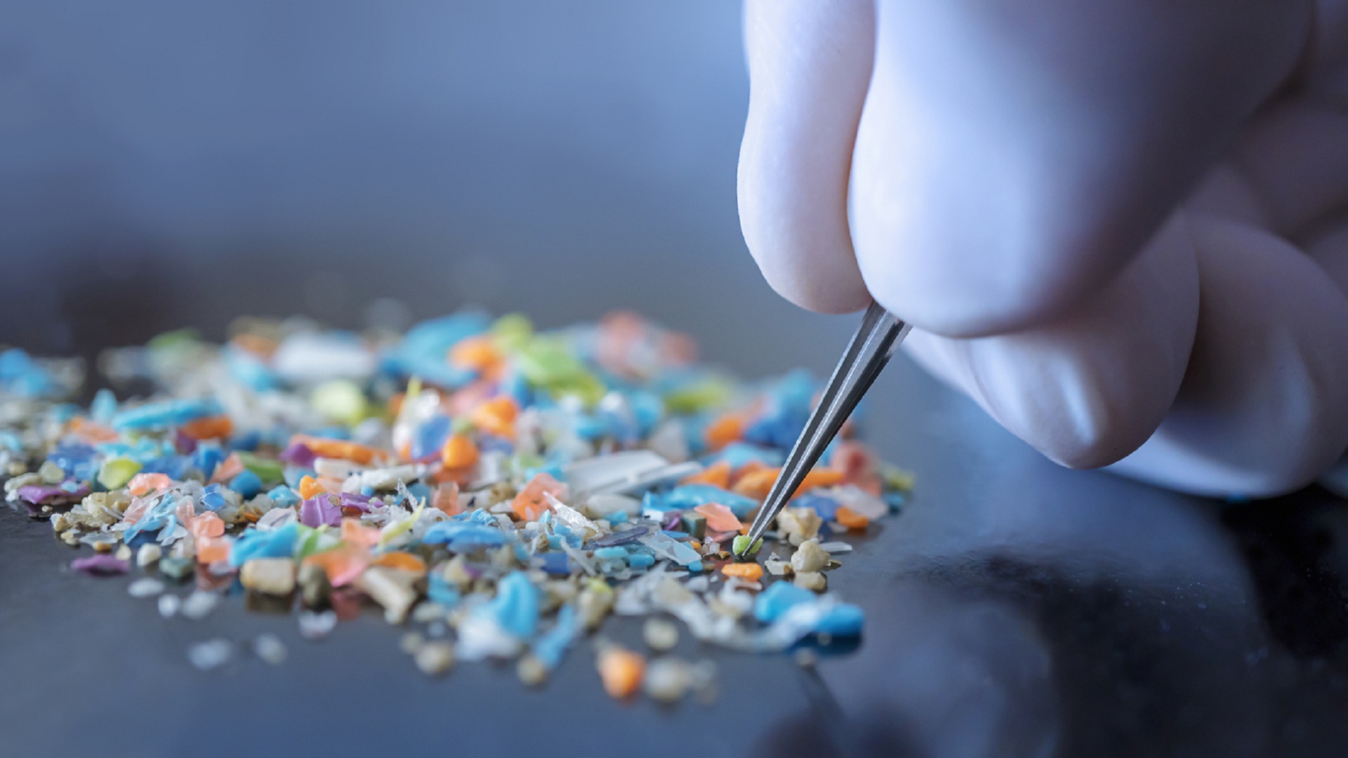 Everyday indoor air may be laced with 68,000 toxic plastic particles ...