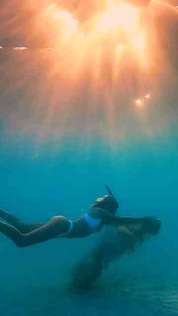 Found a Turtle Ring Underwater – Unexpected Discovery While Diving