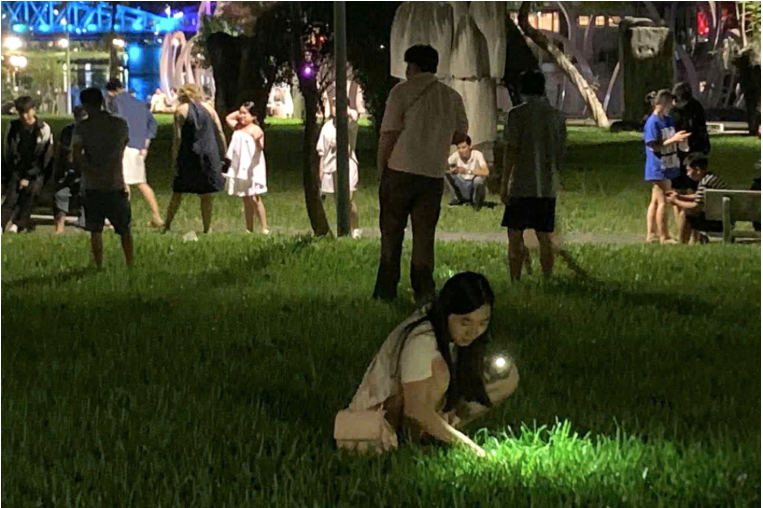 Khách nước ngoài rơi nhẫn kim cương, người dân soi đèn, vạch cỏ tìm giúp trong đêm