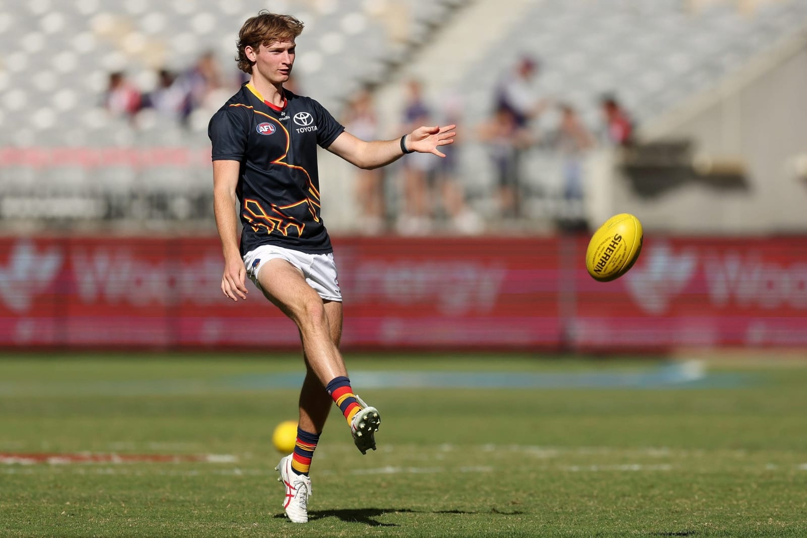 Adelaide reveal replacement for injured key defender as midfield ...