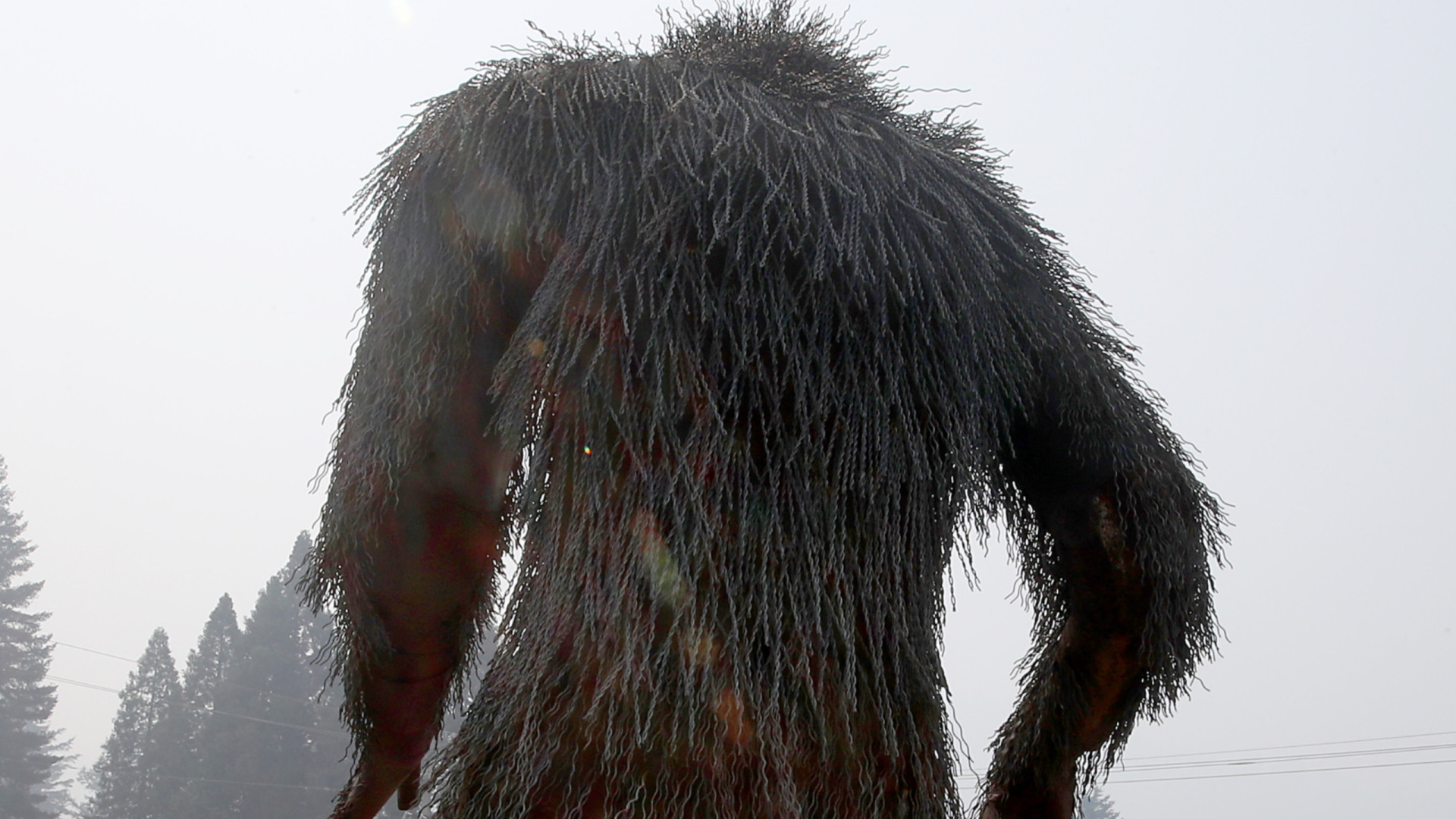 Mythical creatures from around the world