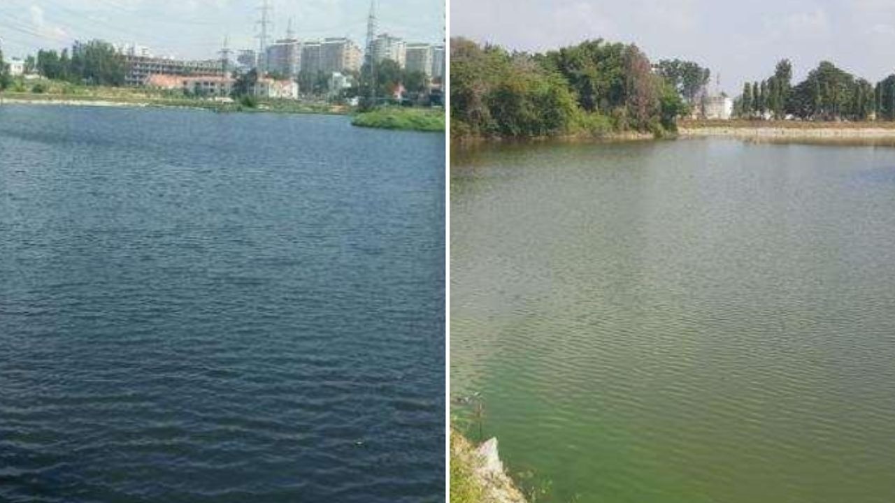 Karnataka plans to reduce lake buffer zones, BJP calls it ‘real estate gangsterism'
