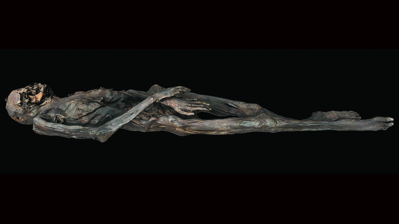 2,300-year-old arm tats on mummified woman reveal new insights about ...