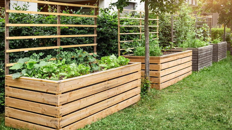 The 10 Best Materials You Should Use To Fill A Raised Garden Bed
