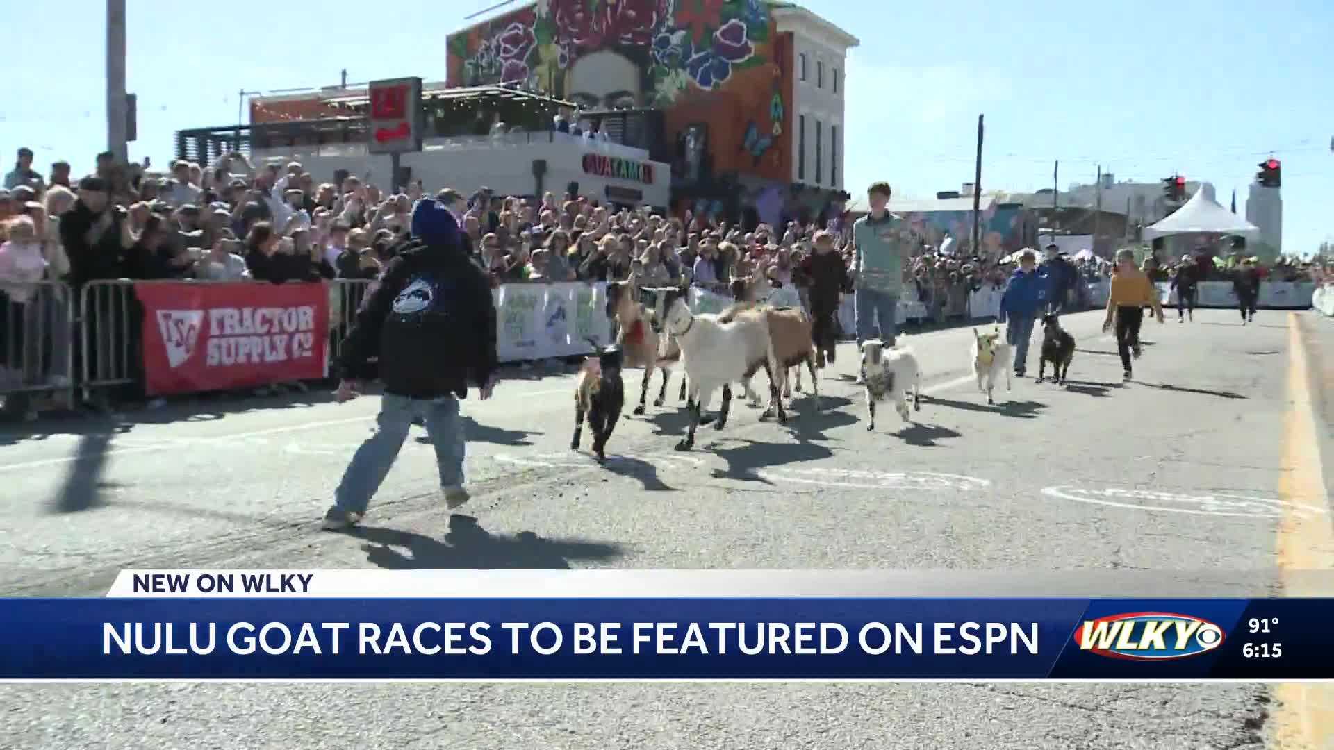 NuLu goat races to be featured on ESPN's 'The Ocho' coverage