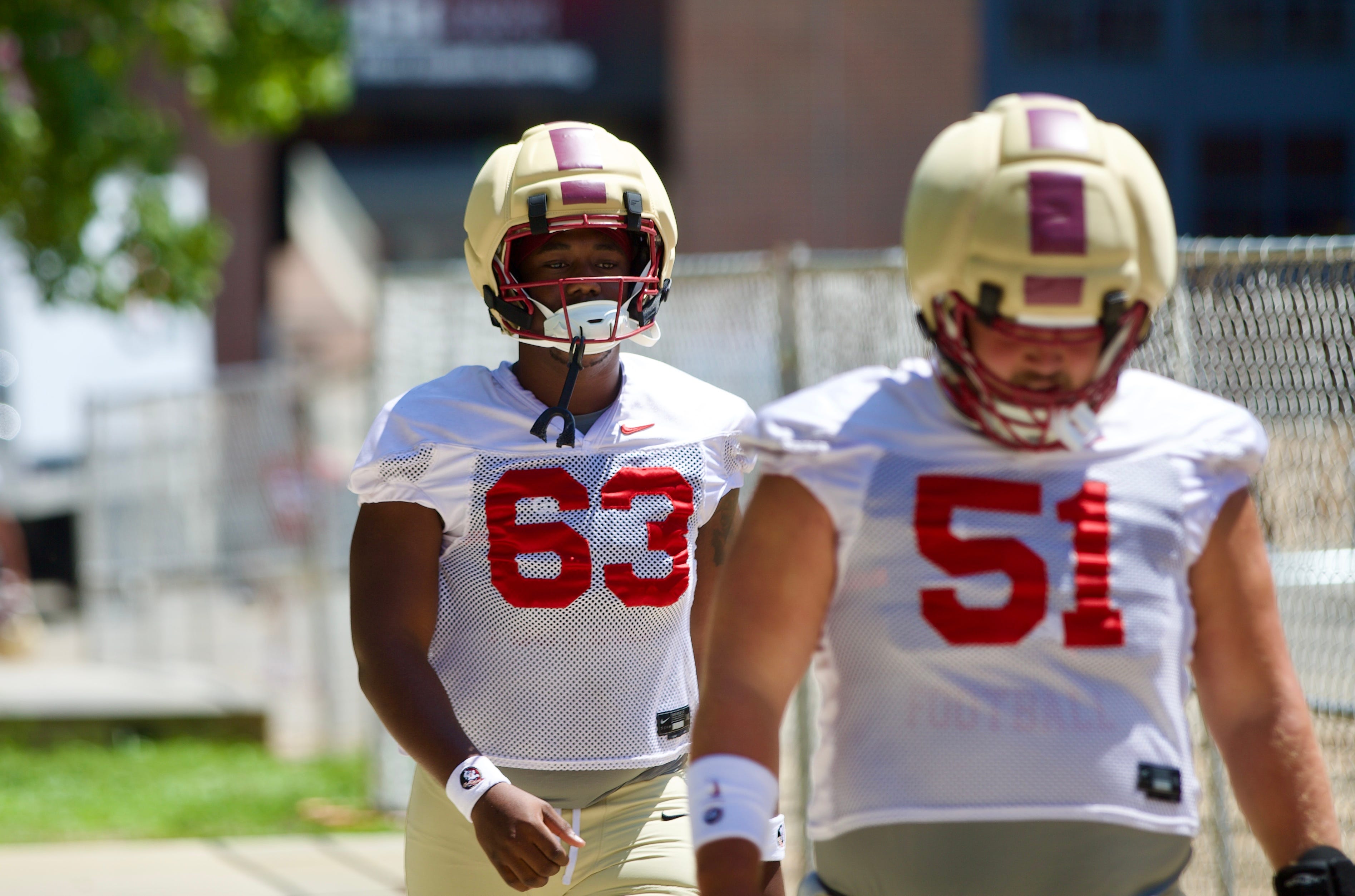 LSU football transfer portal tracker: Southern DB transfer commits to LSU