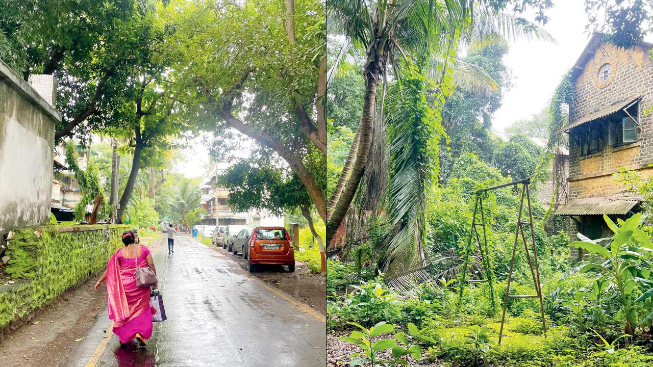 Matunga railway colony faces tree loss as Adani’s Dharavi project advances