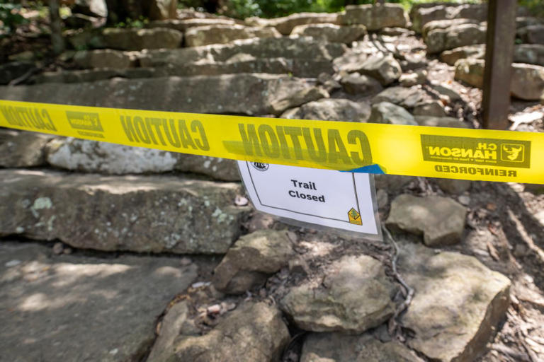 Suspect in Devil’s Den killings appointed public defender