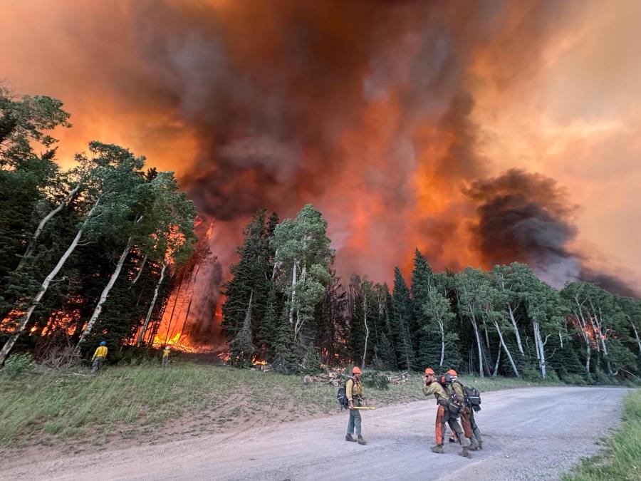 Monroe Canyon Fire burns 12 power lines, power out since Wednesday for ...