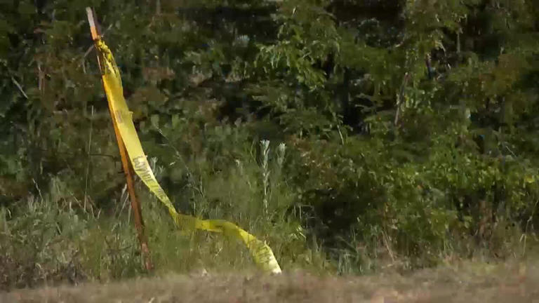 Suspected human remains found in Denison field