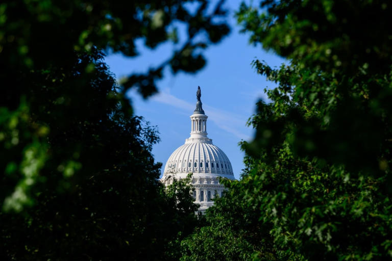 Senate Declines to Block Weapons for Israel as Gaza Hunger Worries Grow