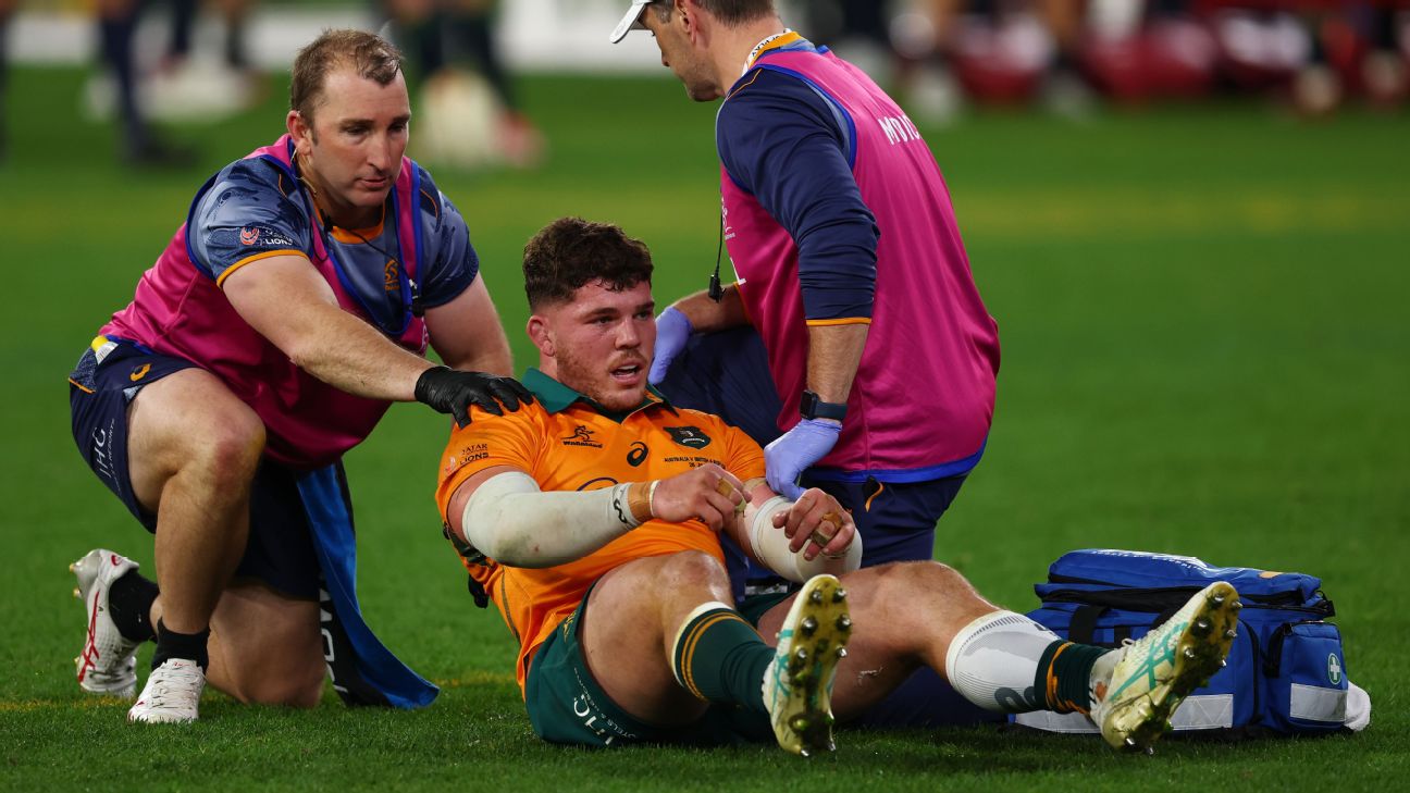 Wallabies' Carlo Tizzano target of 'online abuse' after Jac Morgan incident