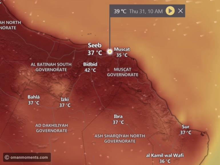 Sunny and Humid with High of 40°C: Muscat Weather, July 31