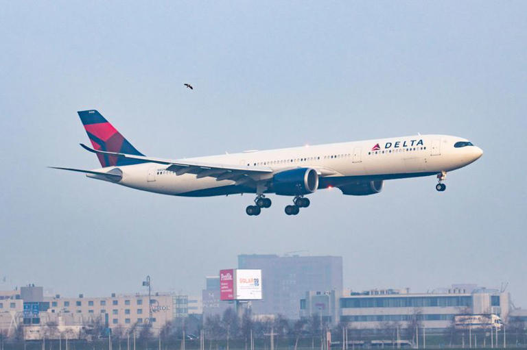 Delta flight makes emergency landing and 25 passengers rushed to hospital