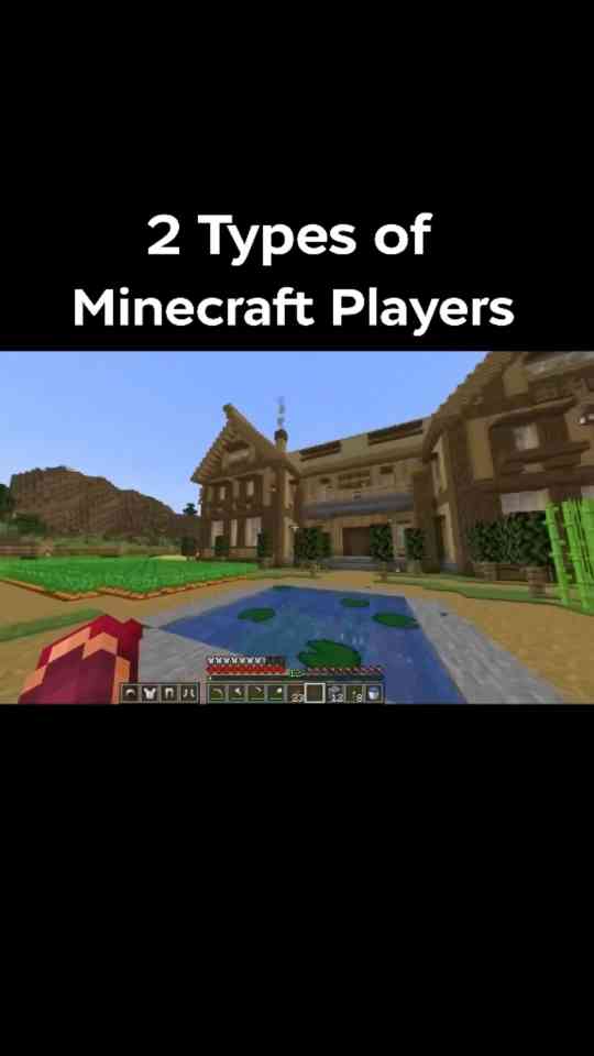 2 Types of Minecraft Players