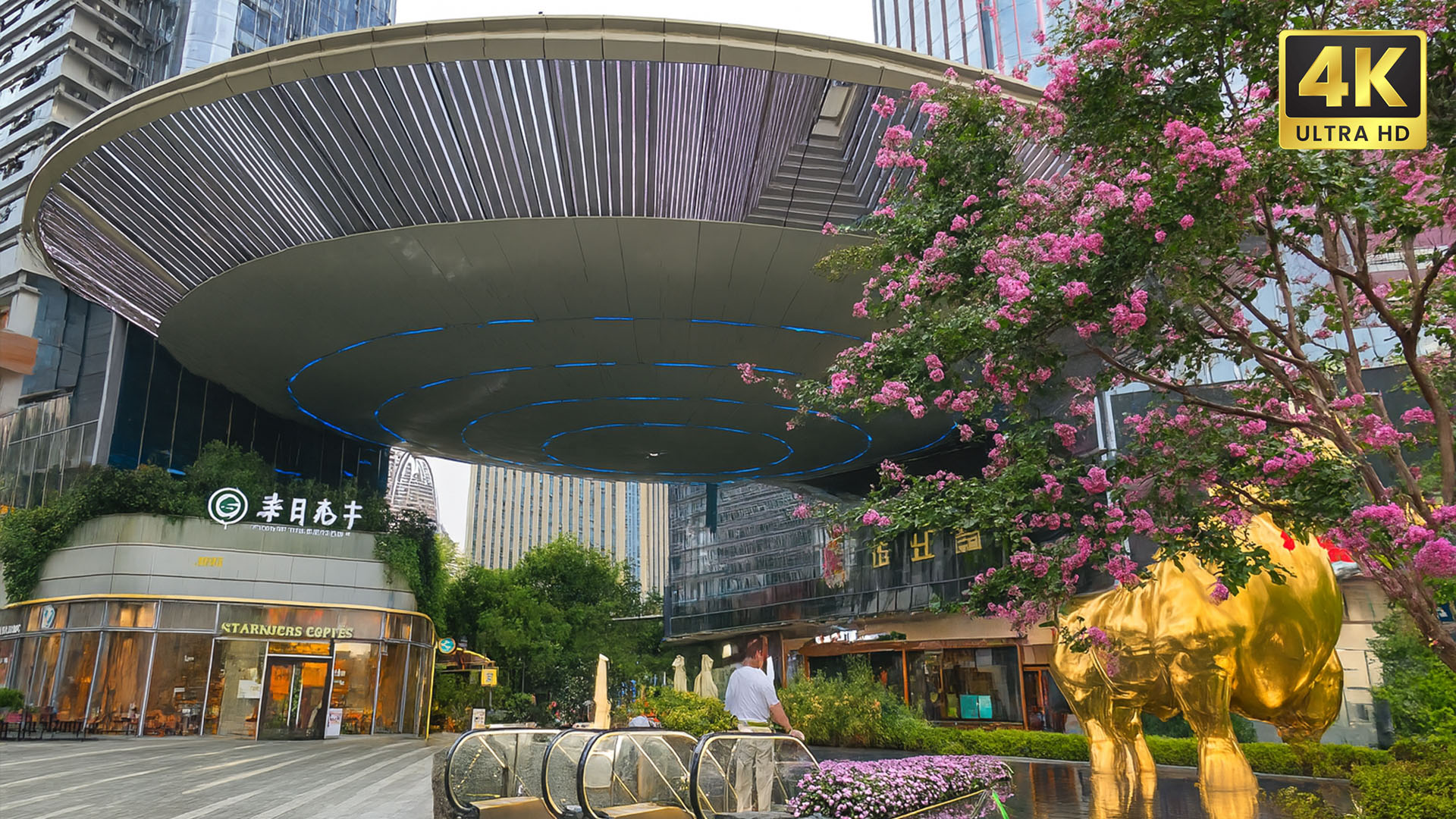 Indoor Garden Inside a Shopping Mall in China 4K